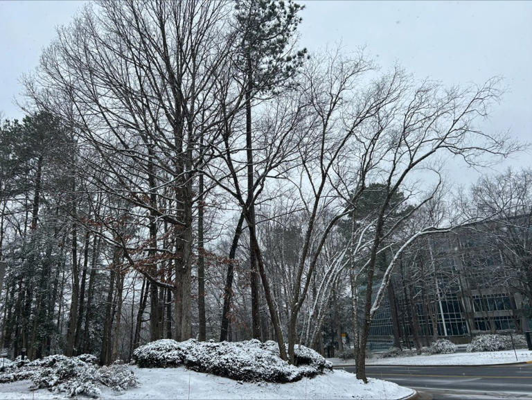 City of Richmond, RHHD closes due to severe weather