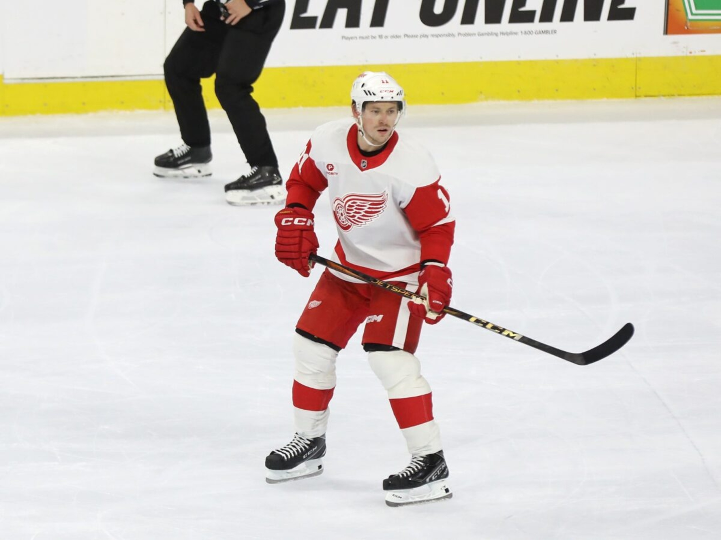 Red Wings Force Their Way Back, Beat Wild 3-2