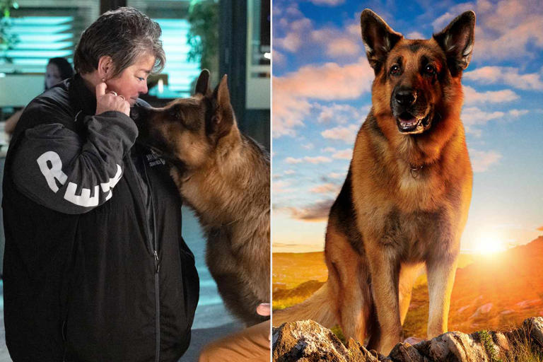“Hudson & Rex ”Trainer Confirms Show's Beloved Dog Star Is Dead, New ...