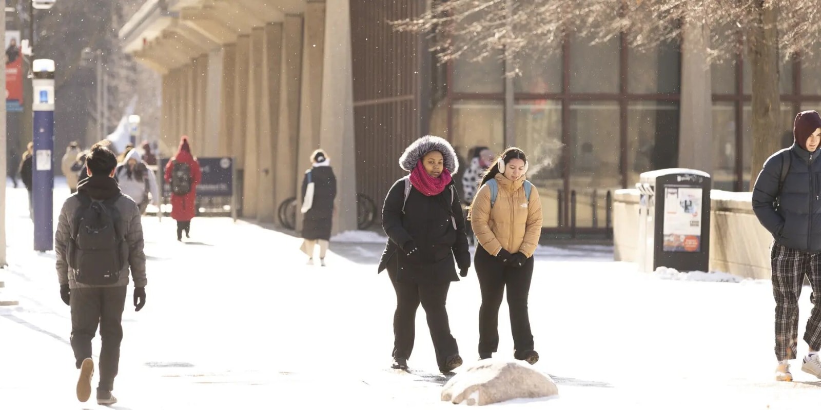 University of Illinois Chicago sued after fired professor criticized ...