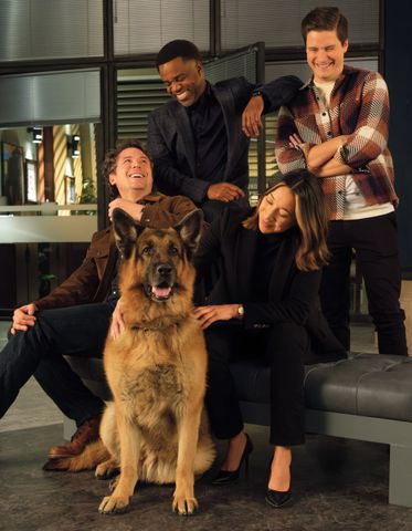 “Hudson & Rex ”Trainer Confirms Show's Beloved Dog Star Is Dead, New ...