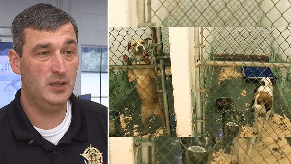 Escambia County Alabama sheriff cuts euthanasia, aims to find homes for ...