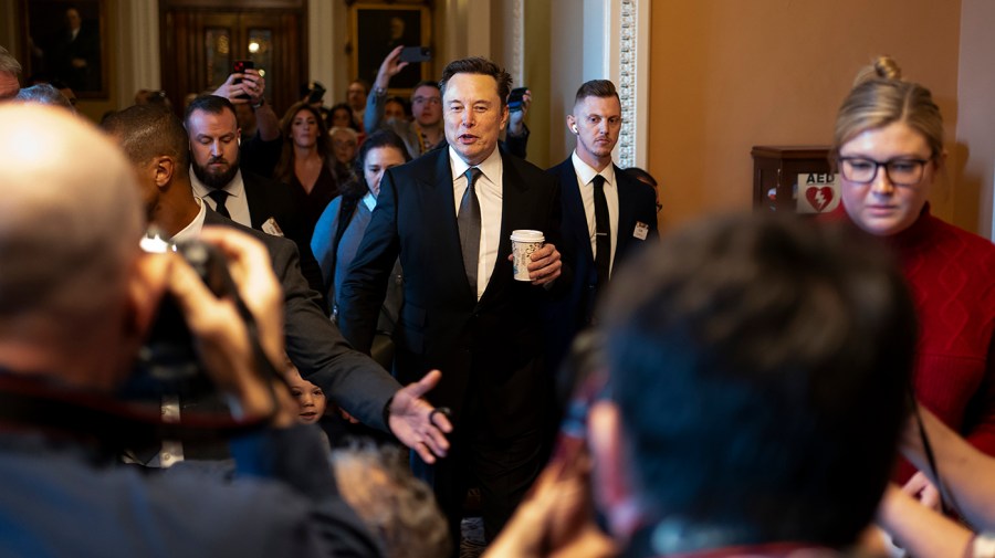 Besides Elon Musk, who else is running DOGE?