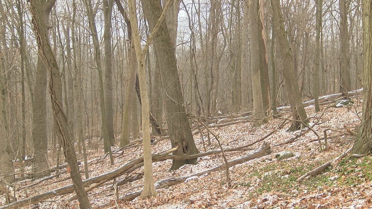 Independence City Council passes vote on new housing development project