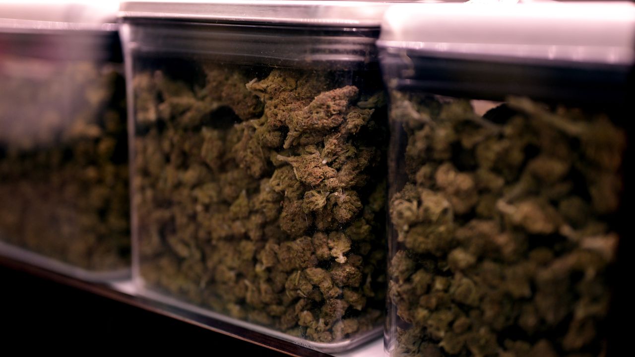 Recreational marijuana licenses applications open in the Springs ...