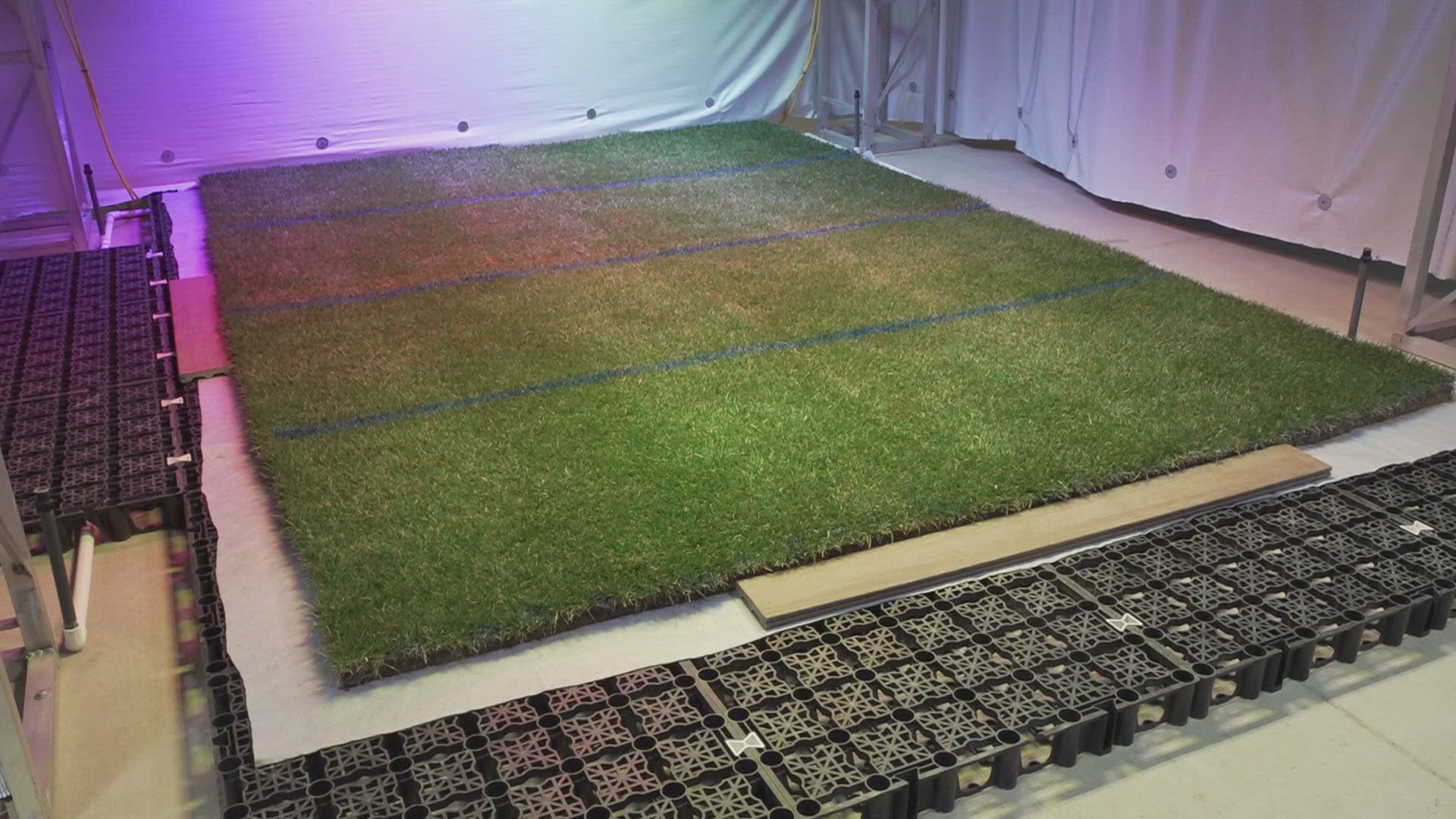 UT researching the perfect grass for FIFA