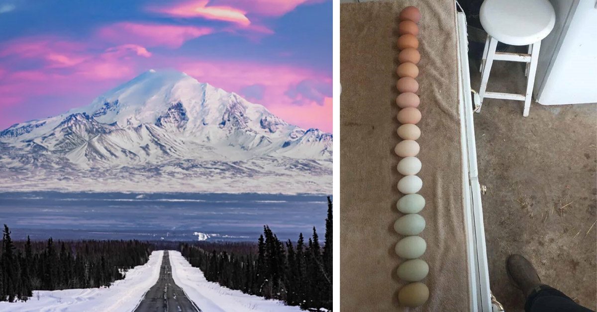 31 Fascinating Photos to Pique Your Interest