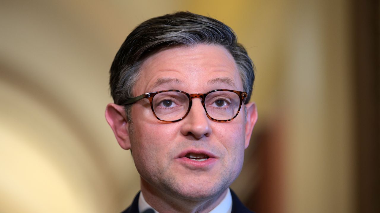 Mike Johnson: Courts should take a "step back"