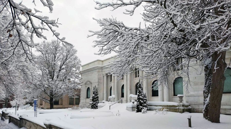 Flower Memorial Library Jan. activities