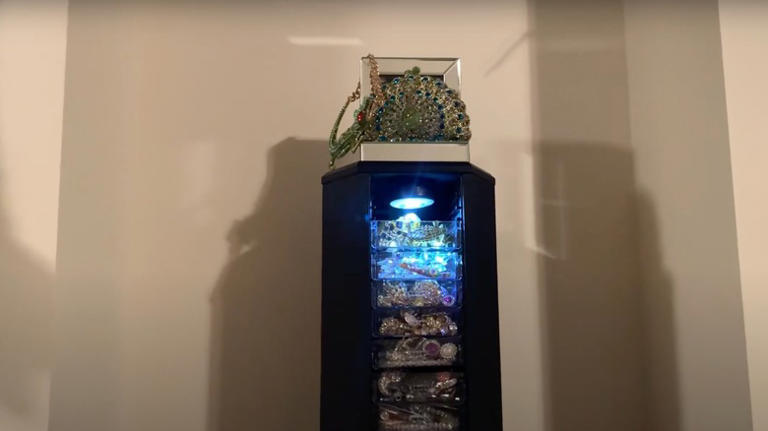 8 Ways To Repurpose CD And DVD Storage Racks Around Your Home And Garden