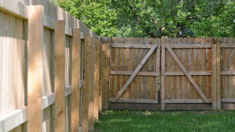 The Worst Type Of Wood Fence Material & The Major Downsides To Be Aware Of