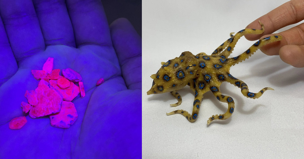 The Wonders of Science: 20 Photos for the Science Admirers