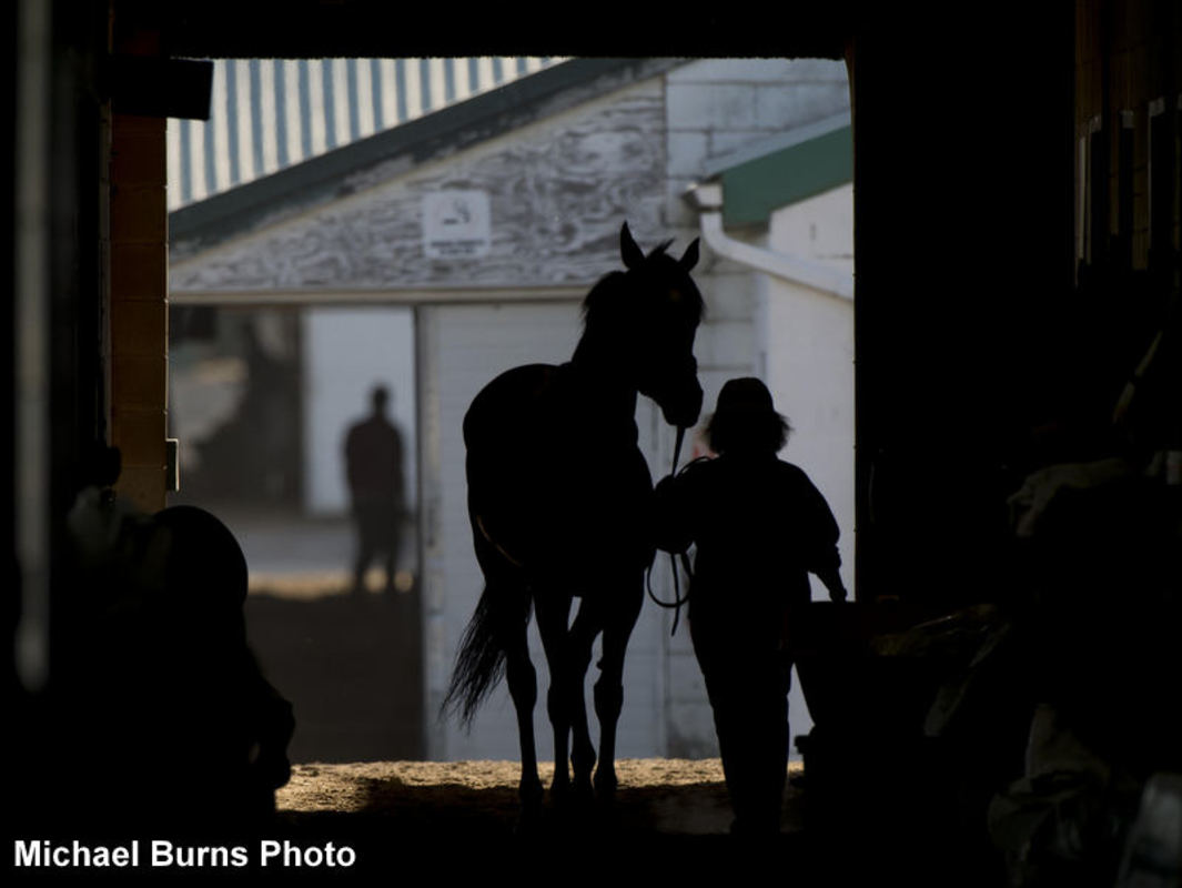 HIWU: Owner/Trainer Suspended 18 Months For 'Prohibited Association'