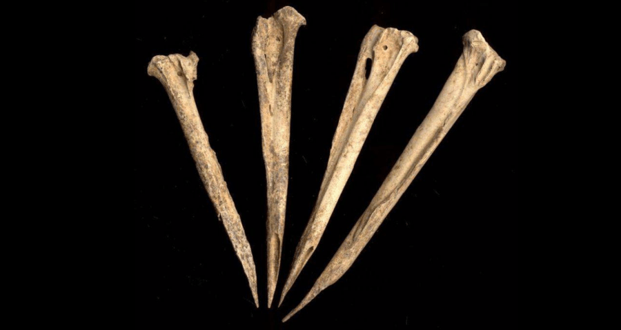 Archaeologists Have Discovered The World’s Oldest Known Tattoo Needles ... Archaeologists Have Discovered The World’s Oldest Known Tattoo Needles ...