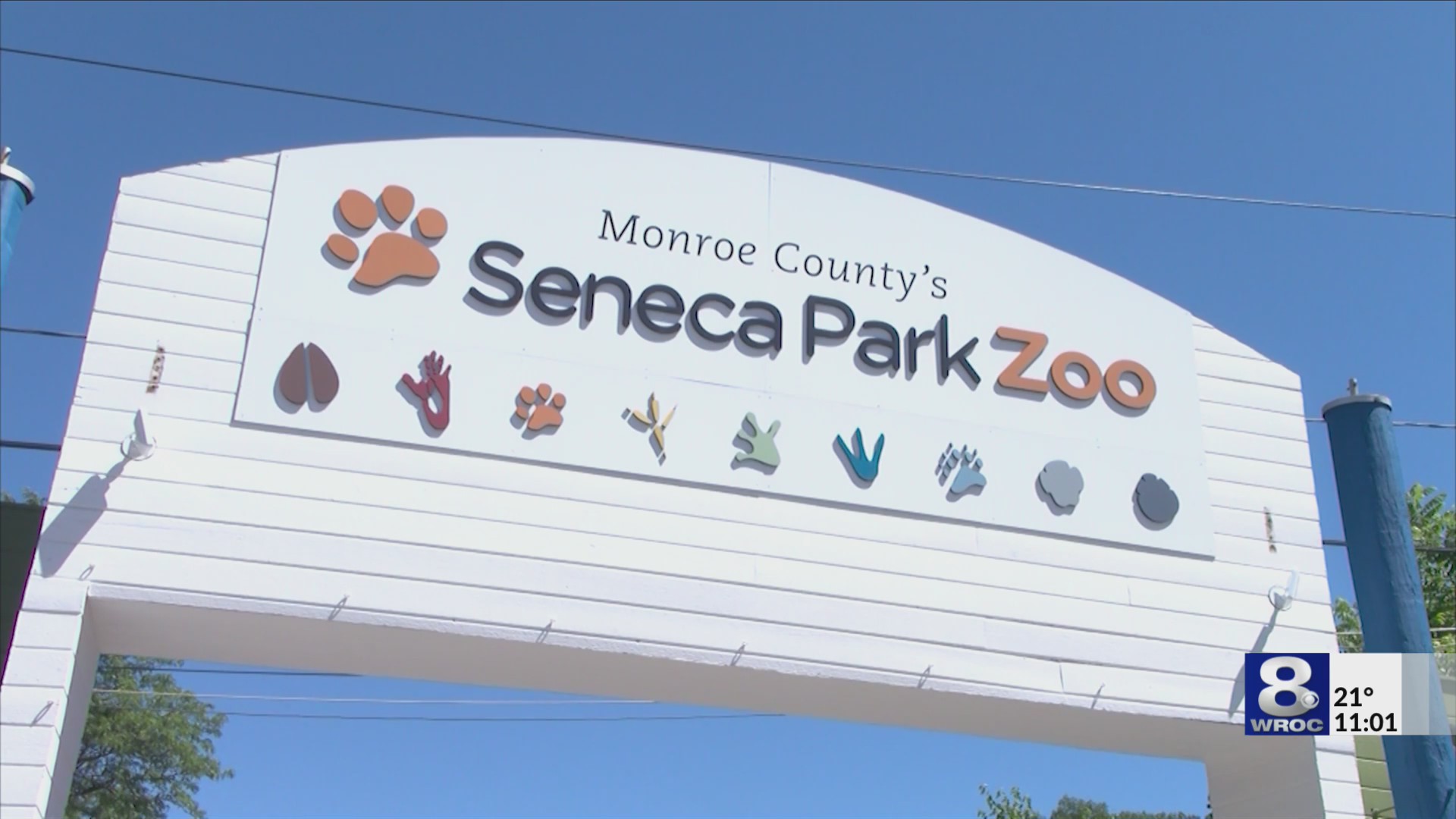 County Legislature votes yes on $6.7-million Seneca Park Zoo redesign ...