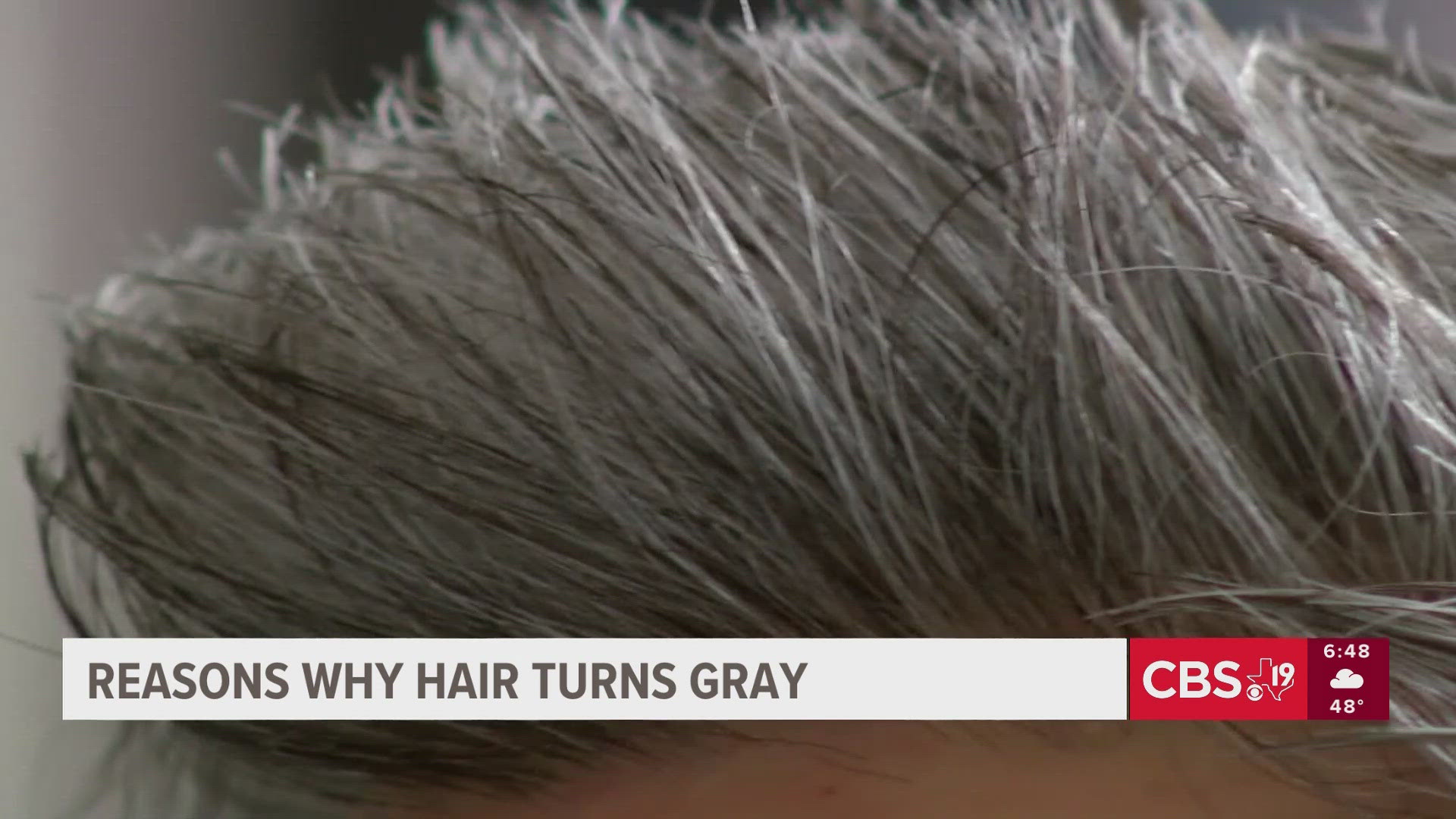 The real reason hair turns gray