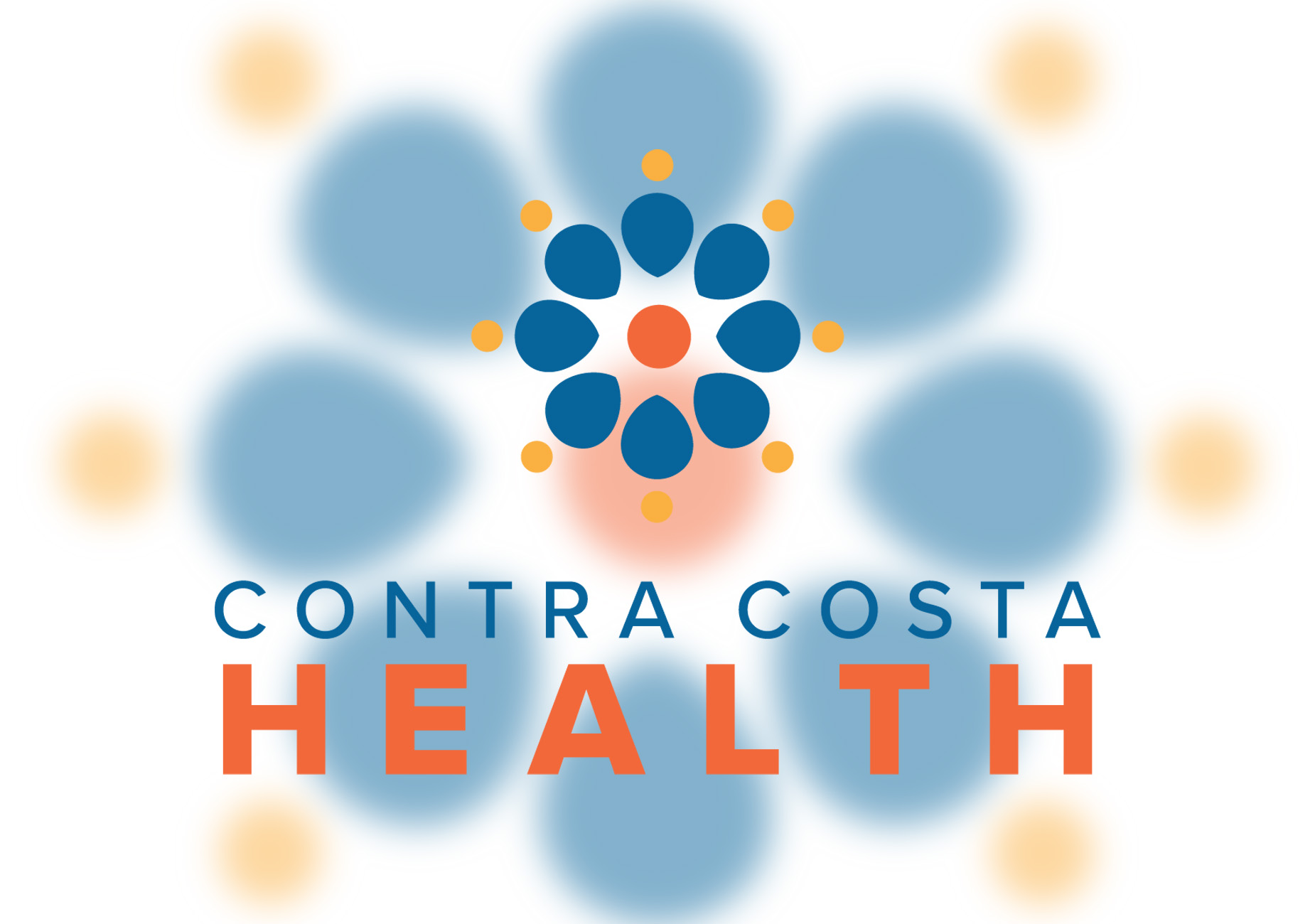 Contra Costa's chief health officer Ori Tzvieli named interim director ...