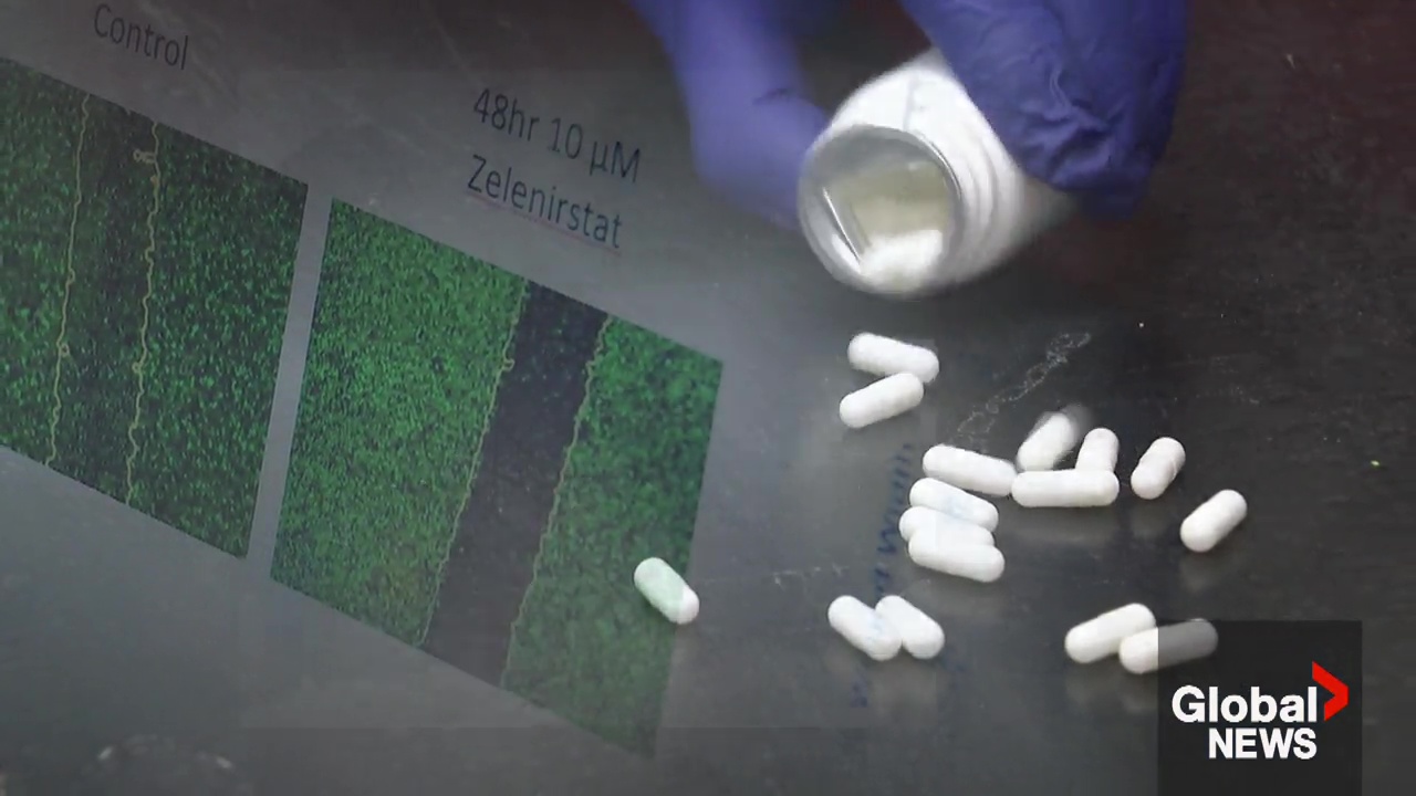 Made-in-Alberta cancer pill gets fast-track designation from the FDA