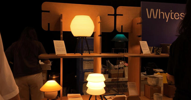 This S’porean student learnt 3D printing on YouTube, now uses the skill ...