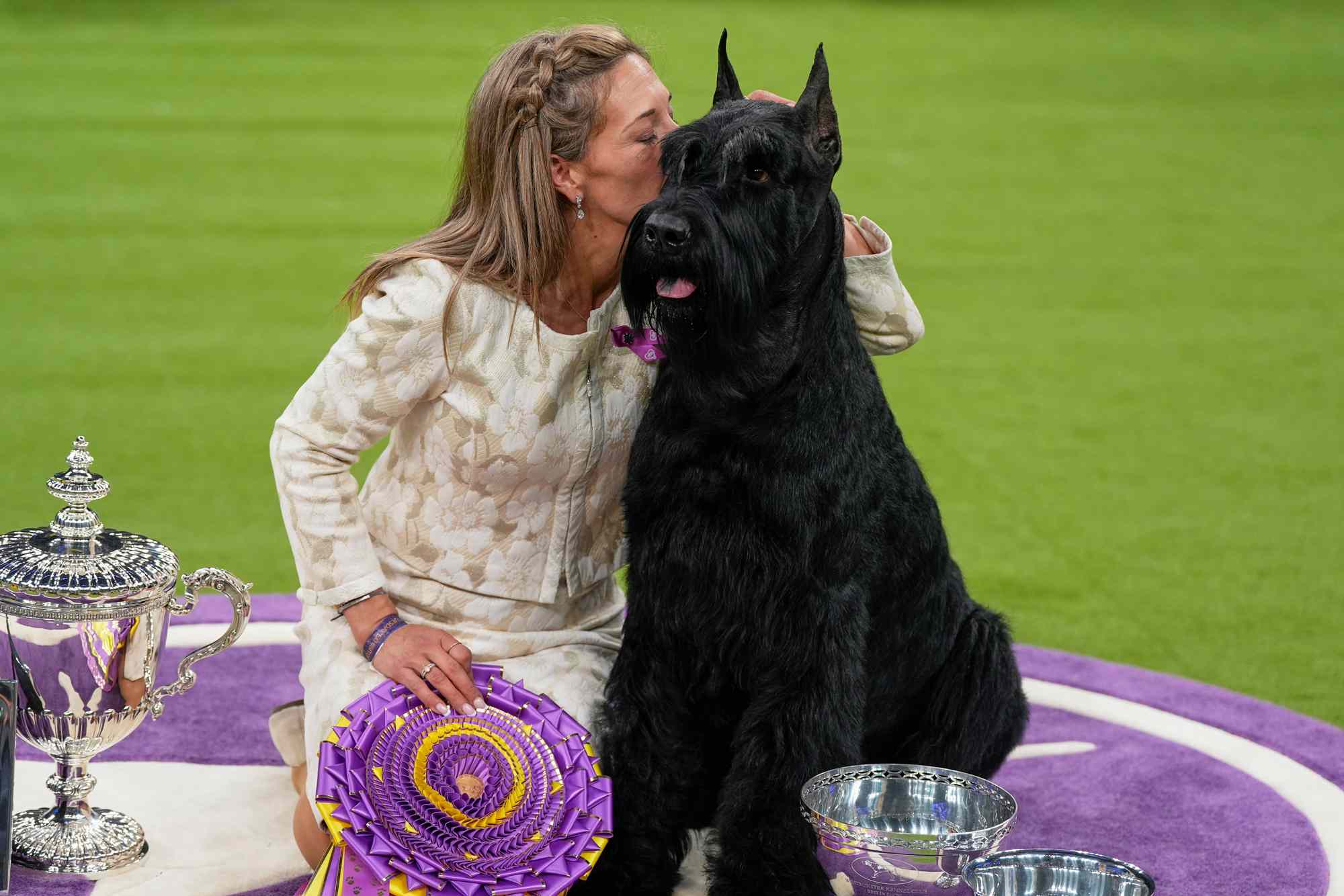 Monty the Giant Schnauzer Wins Best in Show at the 2025 Westminster Dog ...