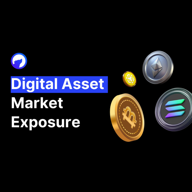 Digital Asset Market Exposure