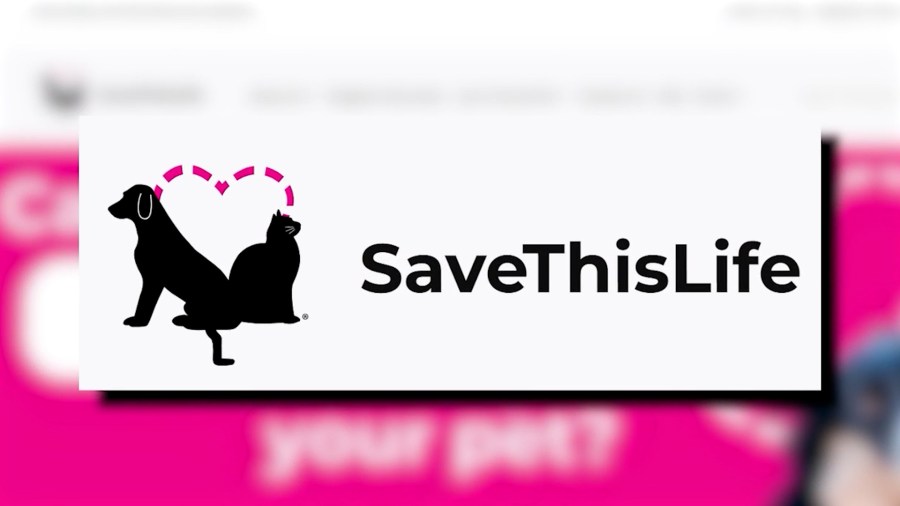 Pet microchip company shuts down; missing pets found with no owner ...