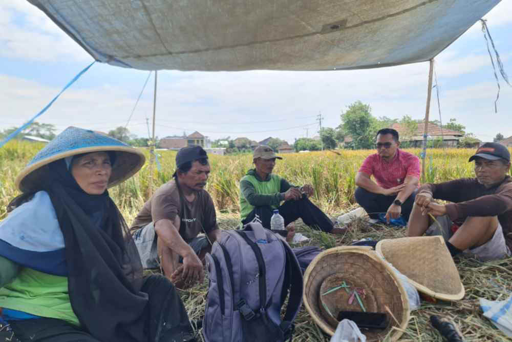Dukung Program Kemandirian Pangan, Bulog Malang Mulai Serap Beras Petani Dukung Program Kemandirian Pangan, Bulog Malang Mulai Serap Beras Petani