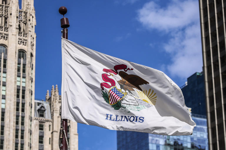 Here's a full list of new laws taking effect in 2026 in Illinois