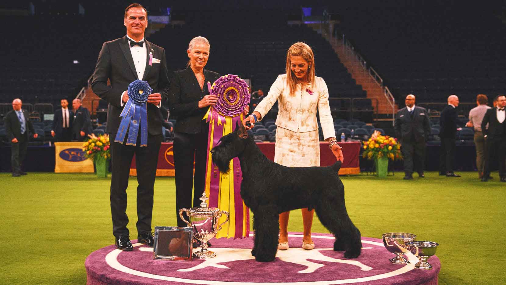 Monty the Giant Schnauzer wins Best in Show, makes history at 2025 ...