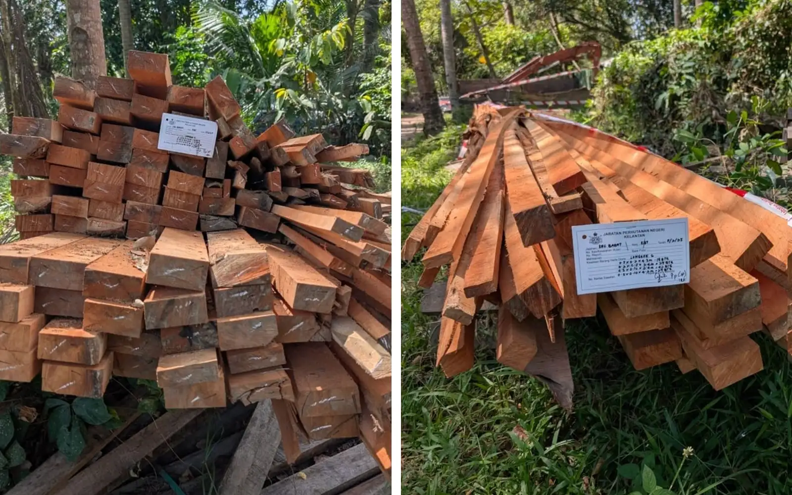 Timber factory owner arrested, machines worth RM2.28mil seized