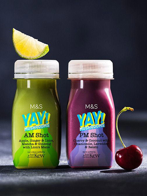 Mushrooms are the new superfood – and these drinks prove it