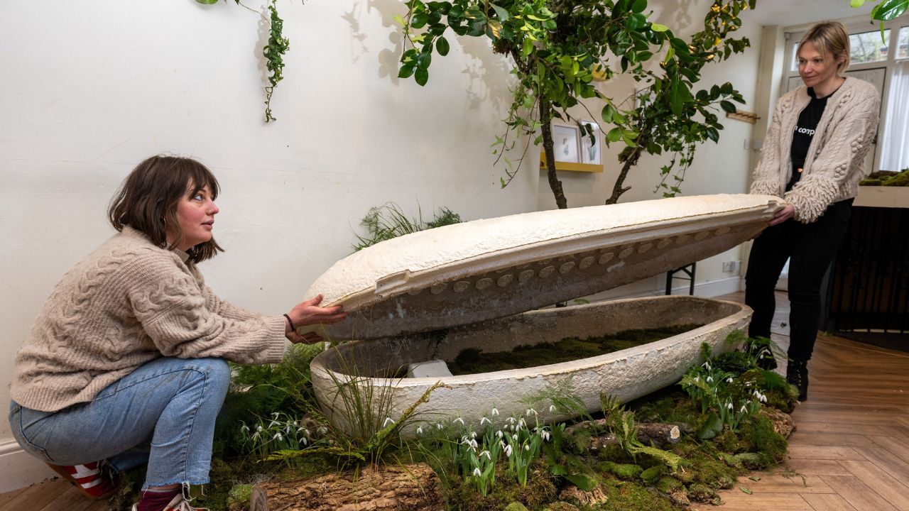 Funeral firm offering world's first 'living coffin' - made out of mushrooms
