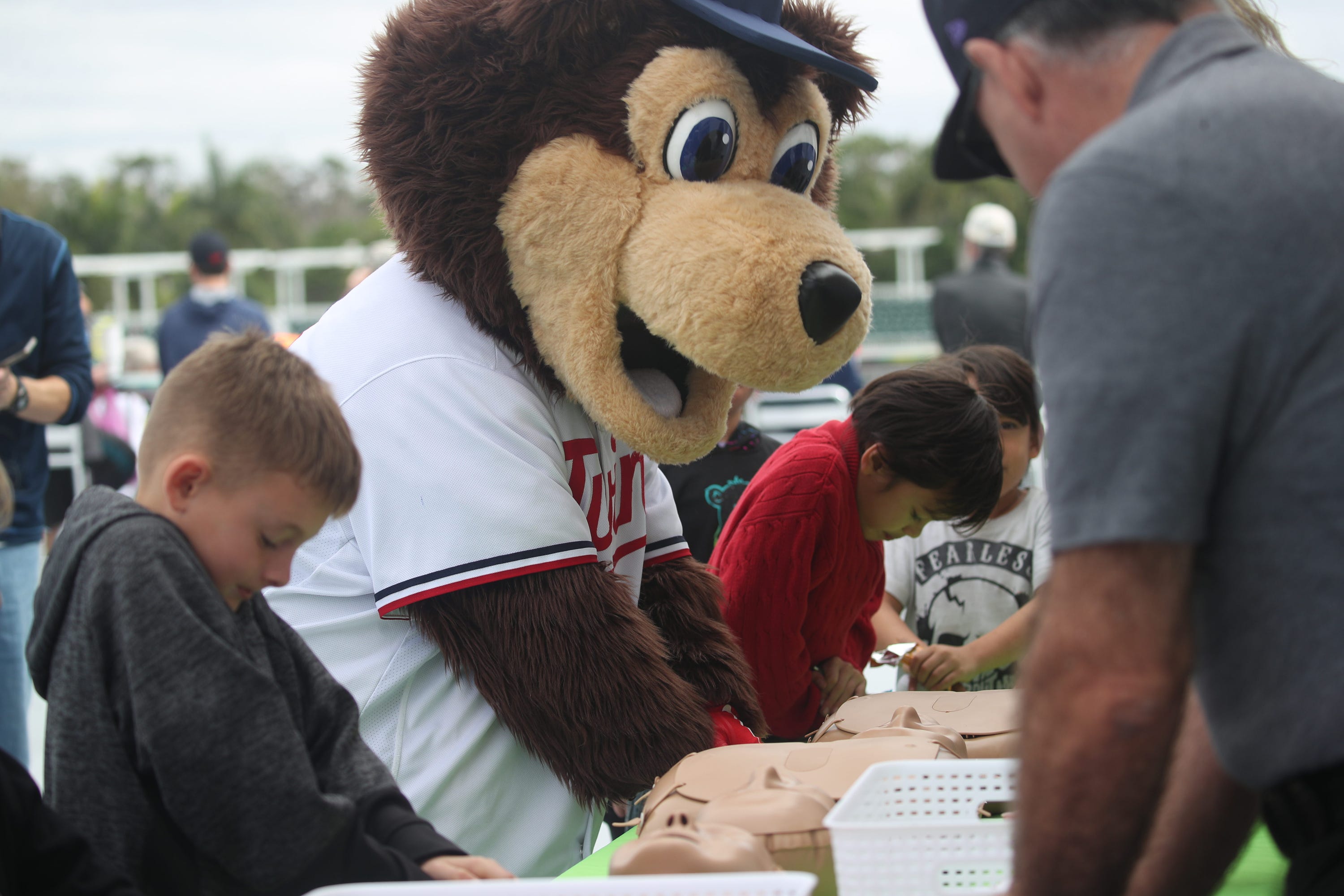 Minnesota Twins Spring Training: What to know before heading out to see ...