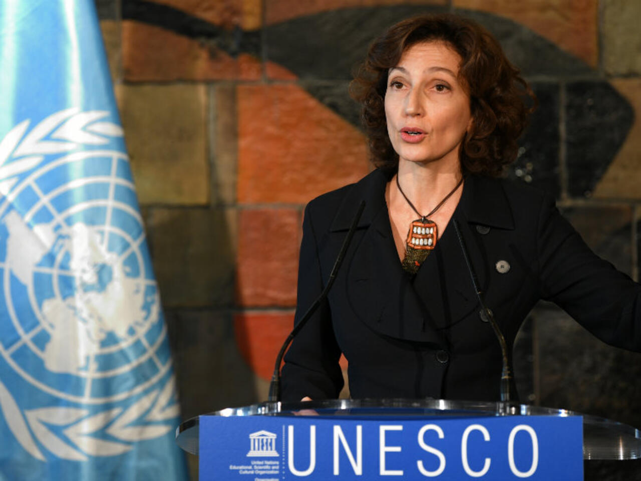 UAE key partner in heritage protection: UNESCO Chief