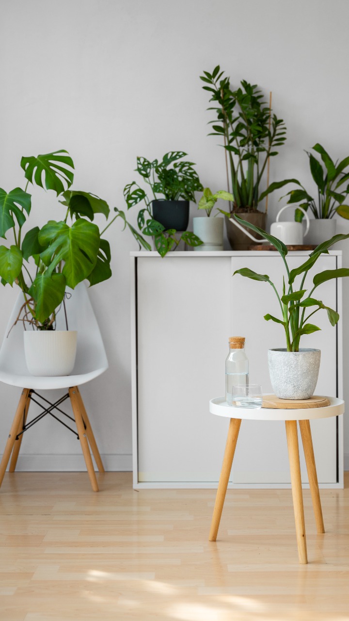 9 plants that can survive without sunlight