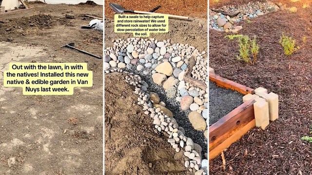 Landscaper shares unbelievable before-and-after footage after ripping ...