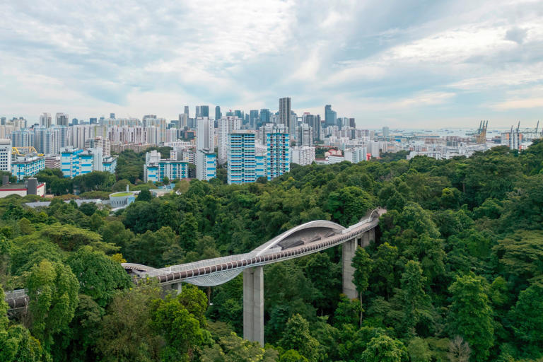 Les 7 ponts à l'architecture la plus atypique du monde