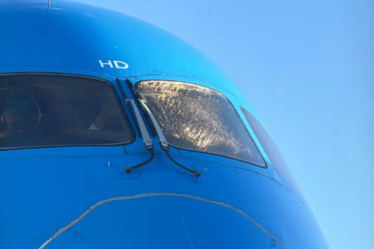 Queen of Belgium’s plane forced to make emergency landing after cockpit ...