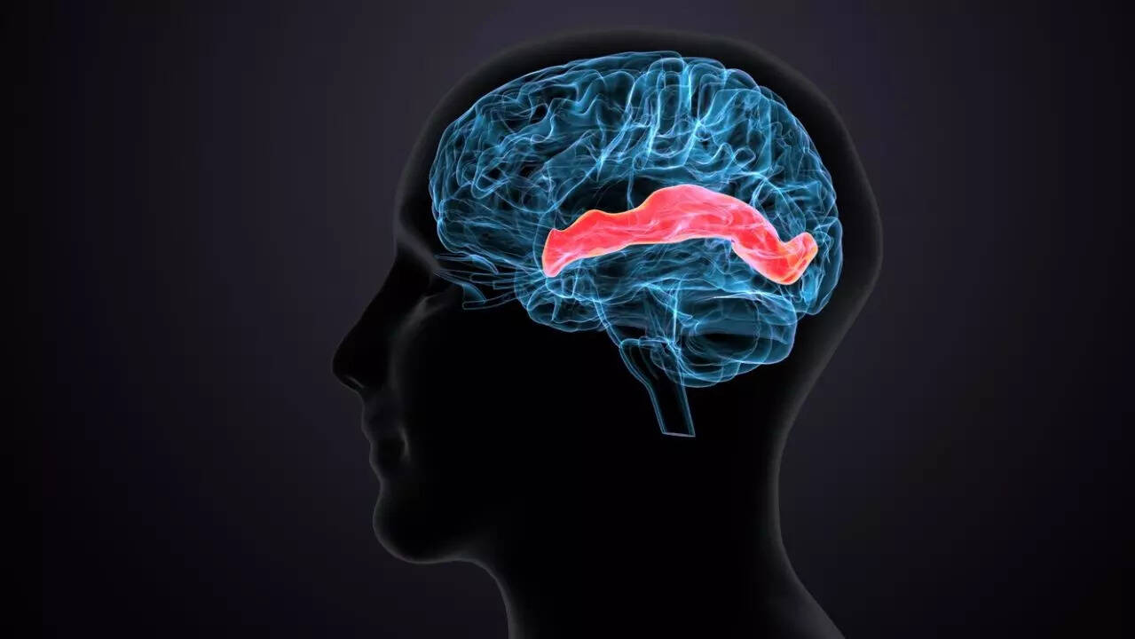 A surprising brain swelling seen in Long Covid patients: What it means ...