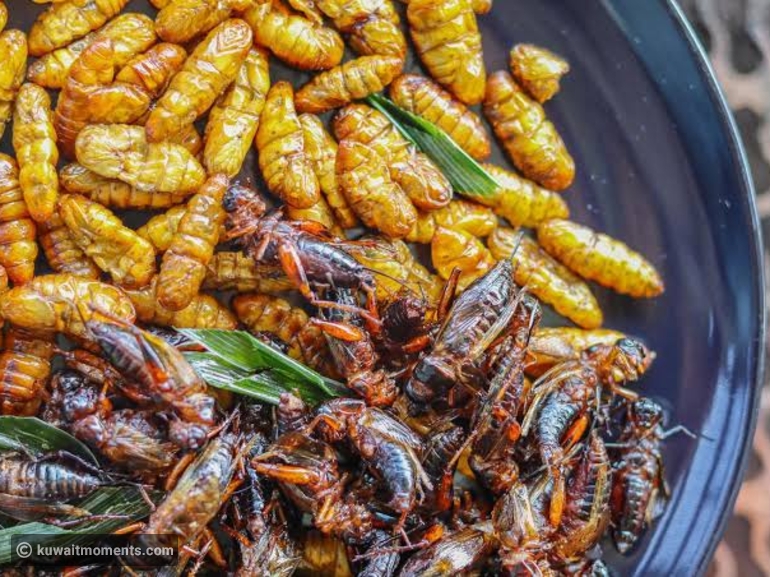 Kuwait Bans Insect-Based Food Products