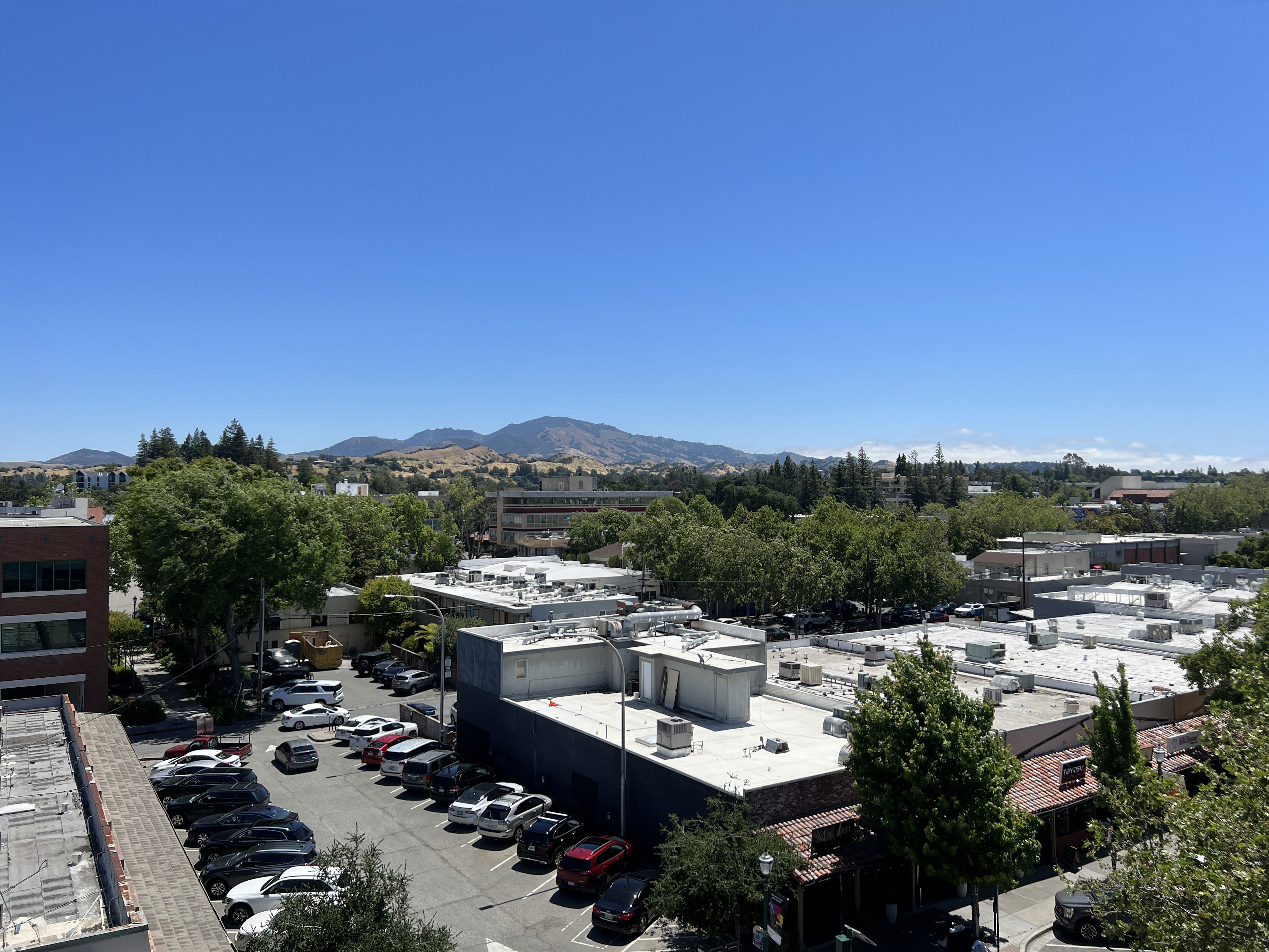 Walnut Creek is Getting Its Most Unique Ice Cream Place Yet