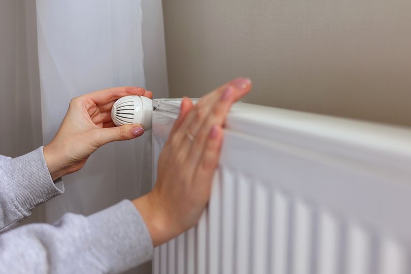 Cost of living: Radiators heat your home faster and cheaper if you ...