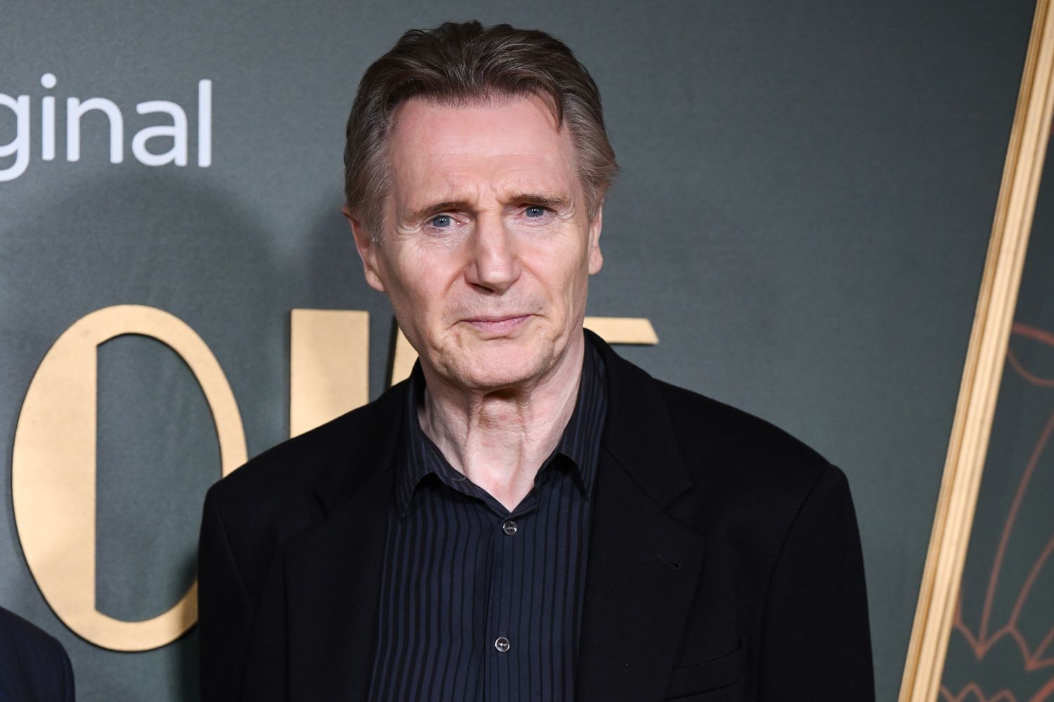 Liam Neeson Reprises “Taken ”Role as He Cameos in Property Listing ...