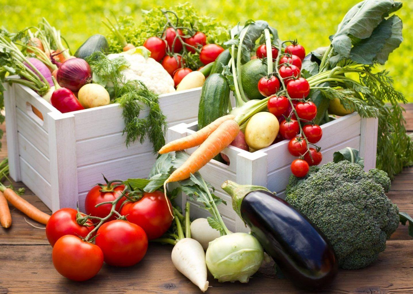 Grow, Cook, Eat: New grant recipients announced for healthy food ...
