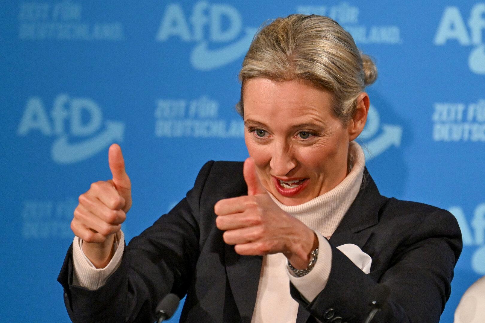 Riesen-Spende: Frau schenkt der AfD 6 Millionen Euro