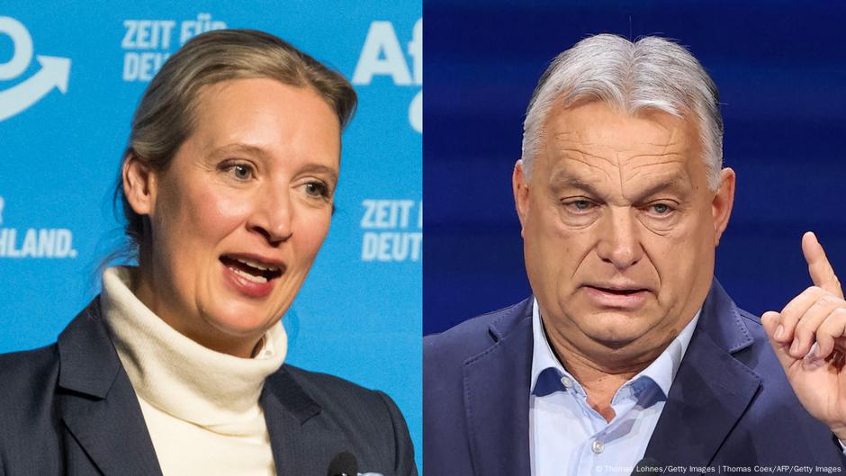 German election: Hungary's Orban hosts AfD leader Weidel