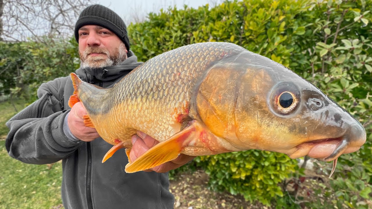 Baking Fish in Clay – The Most Tender & Juicy Recipe Ever!