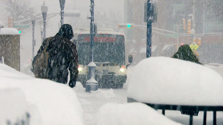 Up to 25cm of snow on its way as N.B. braces for a messy Thursday