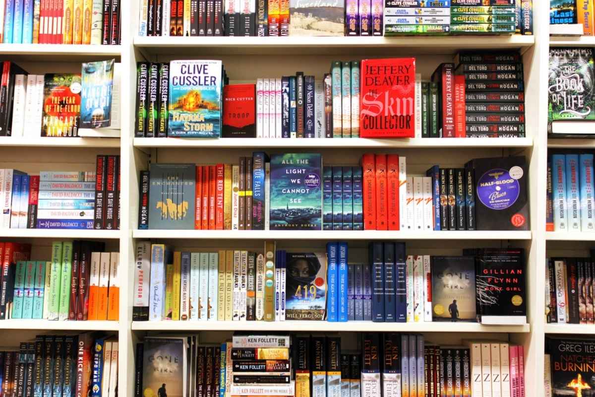 Come funziona IBS: la prima libreria online