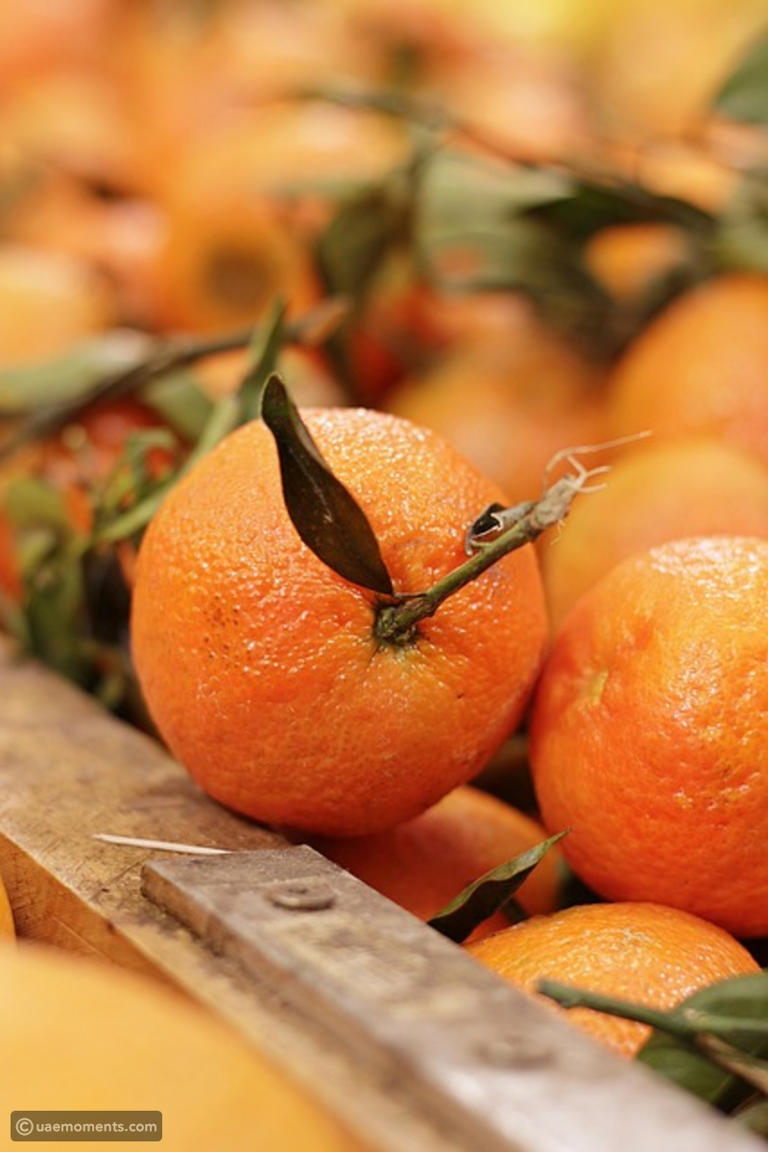 Top Vitamin C-Rich Foods for a Strong Immune System